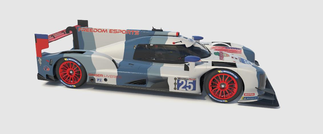 Freedom eSports P217 ver4567789 by Rick W. - Trading Paints