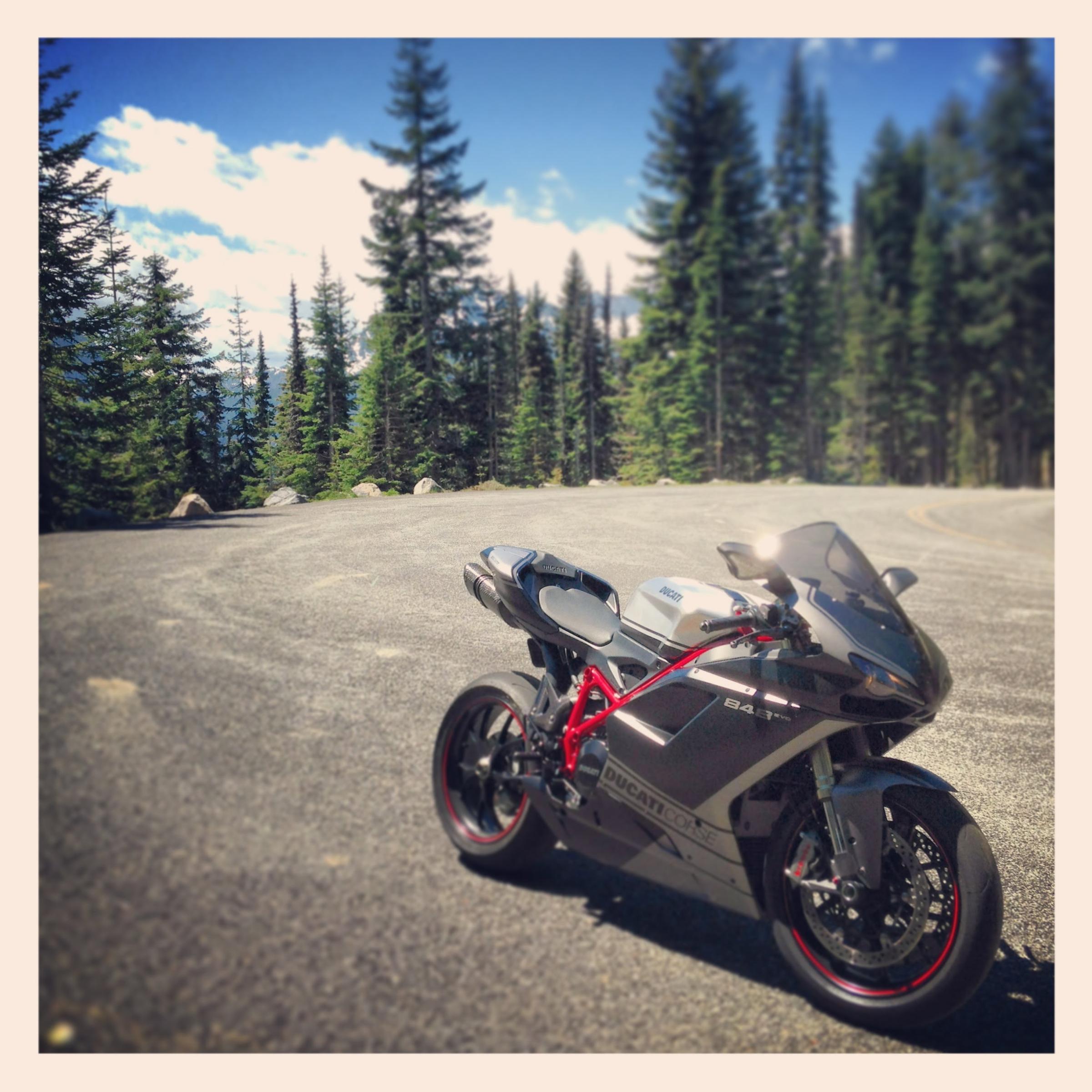 GreyLeafCamo by Jonathan Curto - Trading Paints