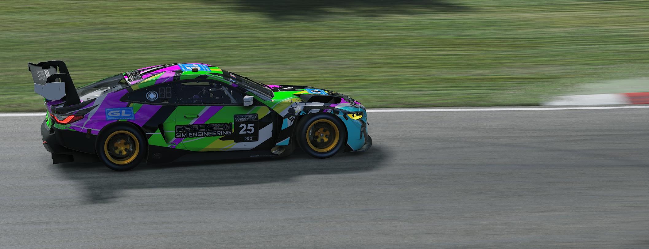 Ginger Liveries BMW by Rick W. - Trading Paints