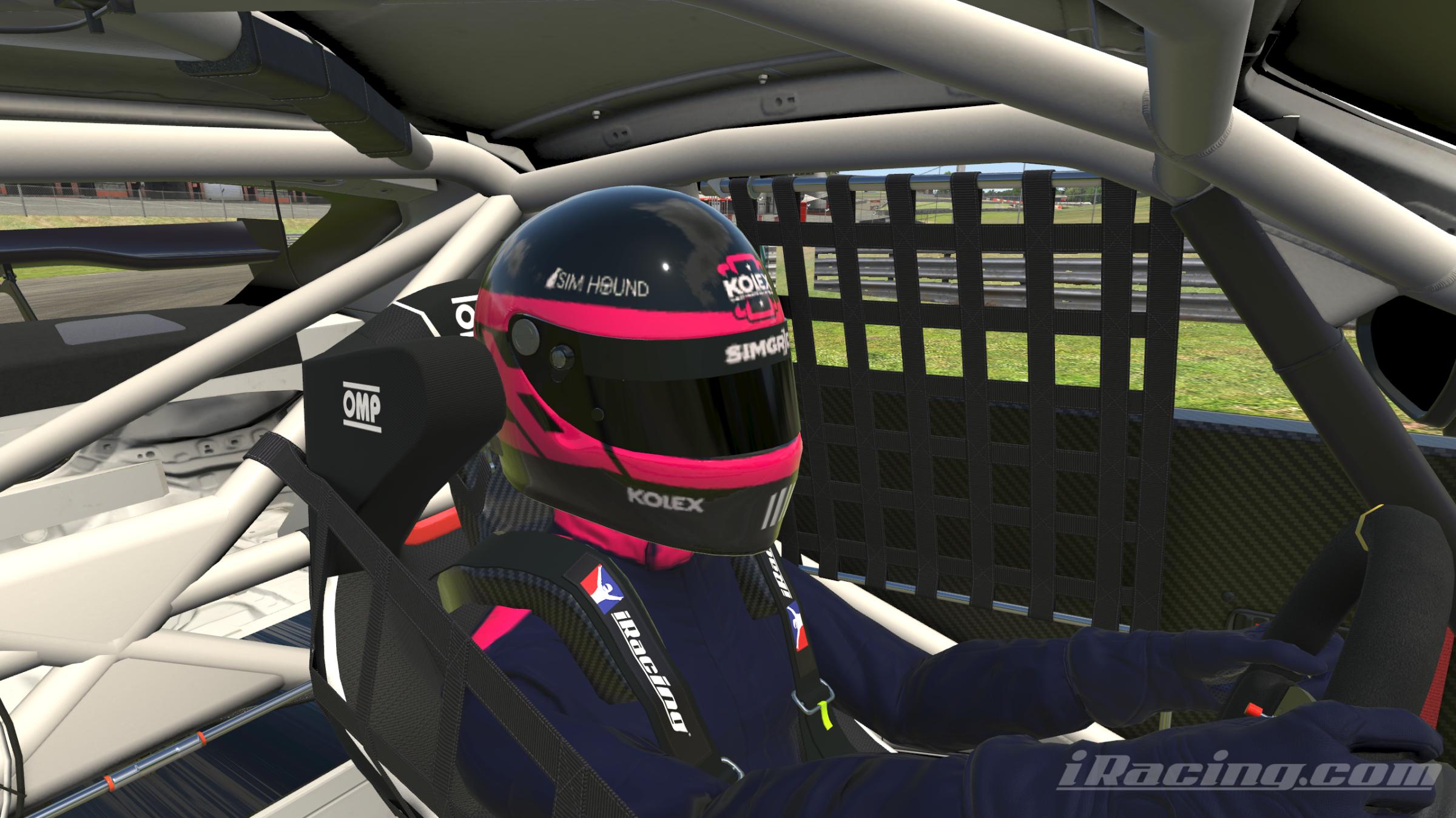 Wild things Racing 2023 - Black and Pink by Denise Pope - Trading Paints