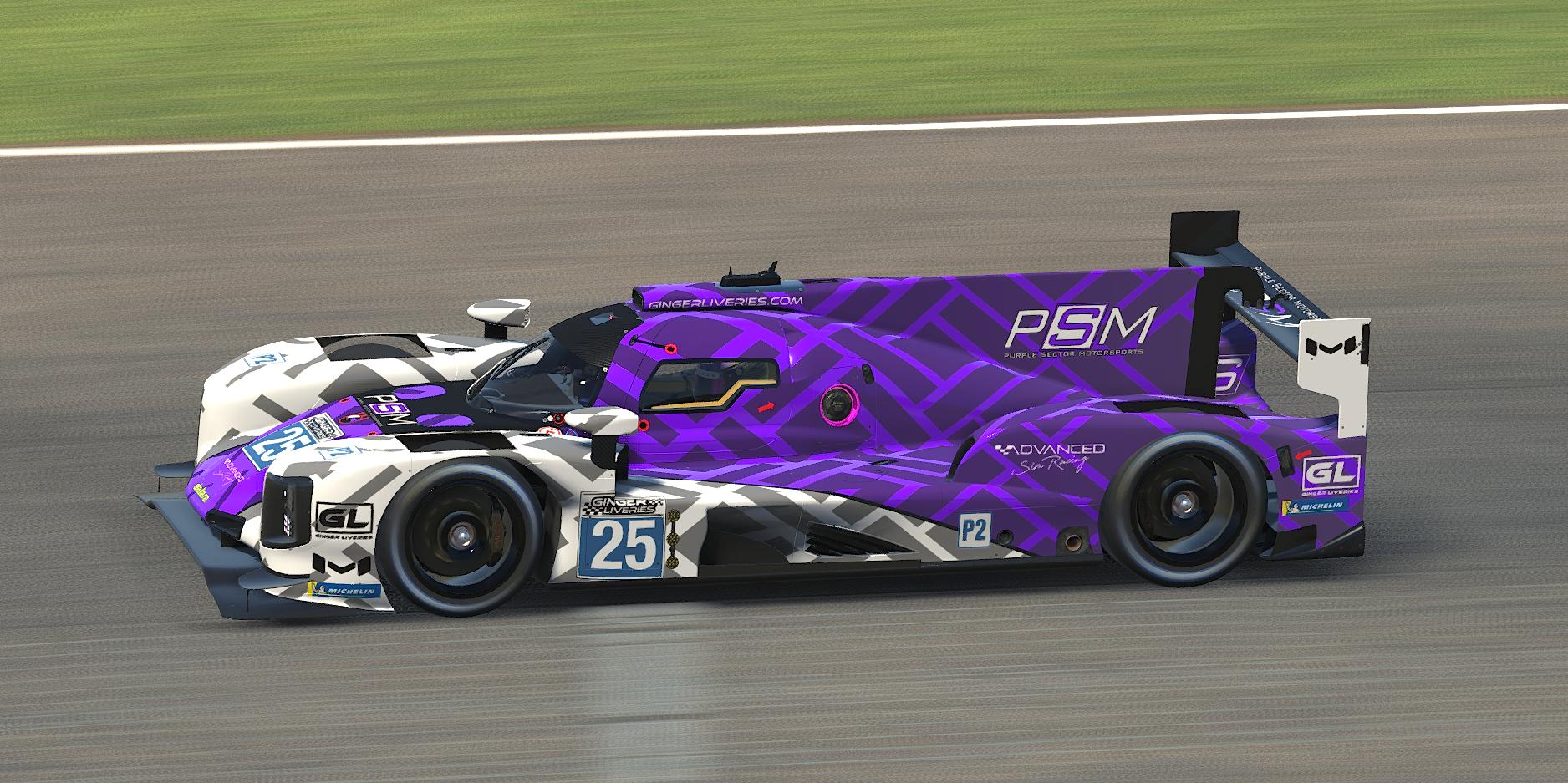 PSM P217 Team Paint - IMSA by John P. - Trading Paints