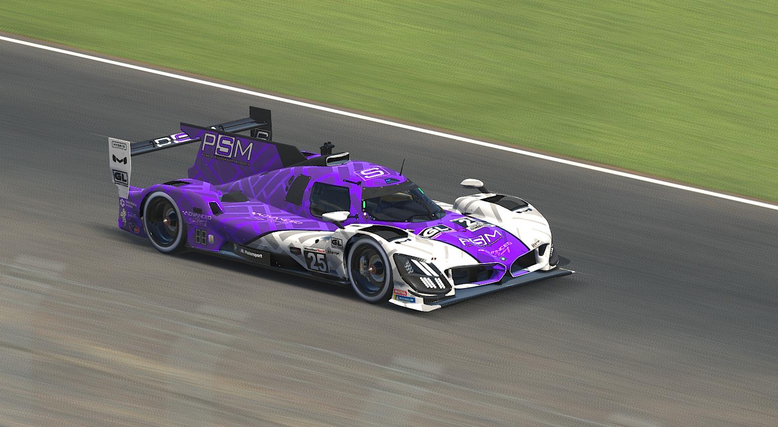 PSM BMW LMDh Team Paint by John P. - Trading Paints