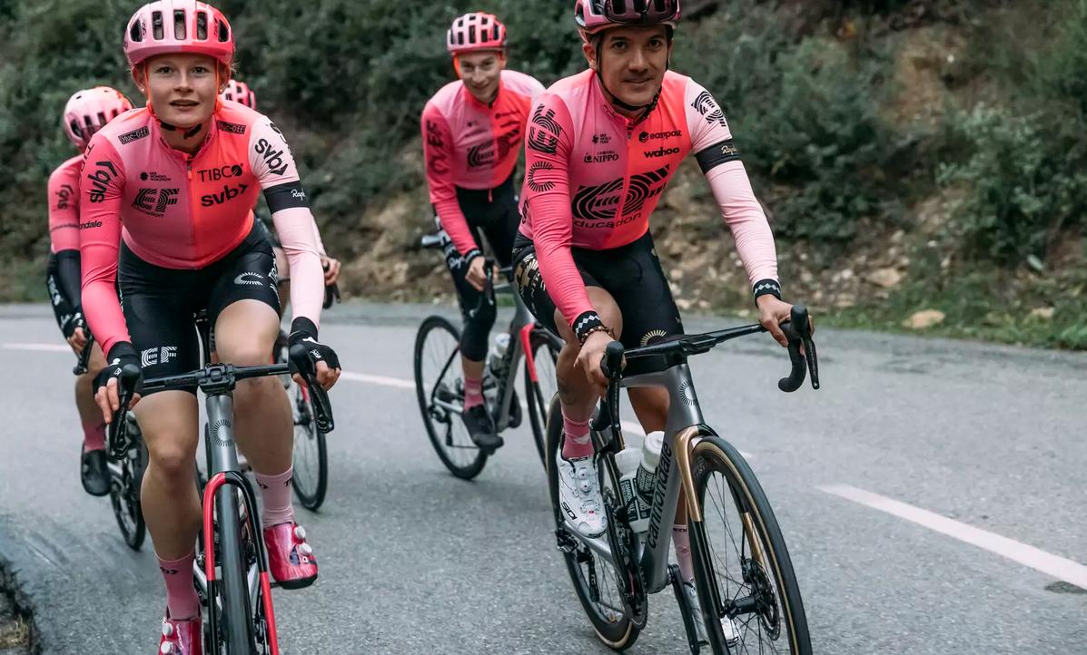 EF-EasyPost 2023 Livery by Sherwood Plant - Trading Paints