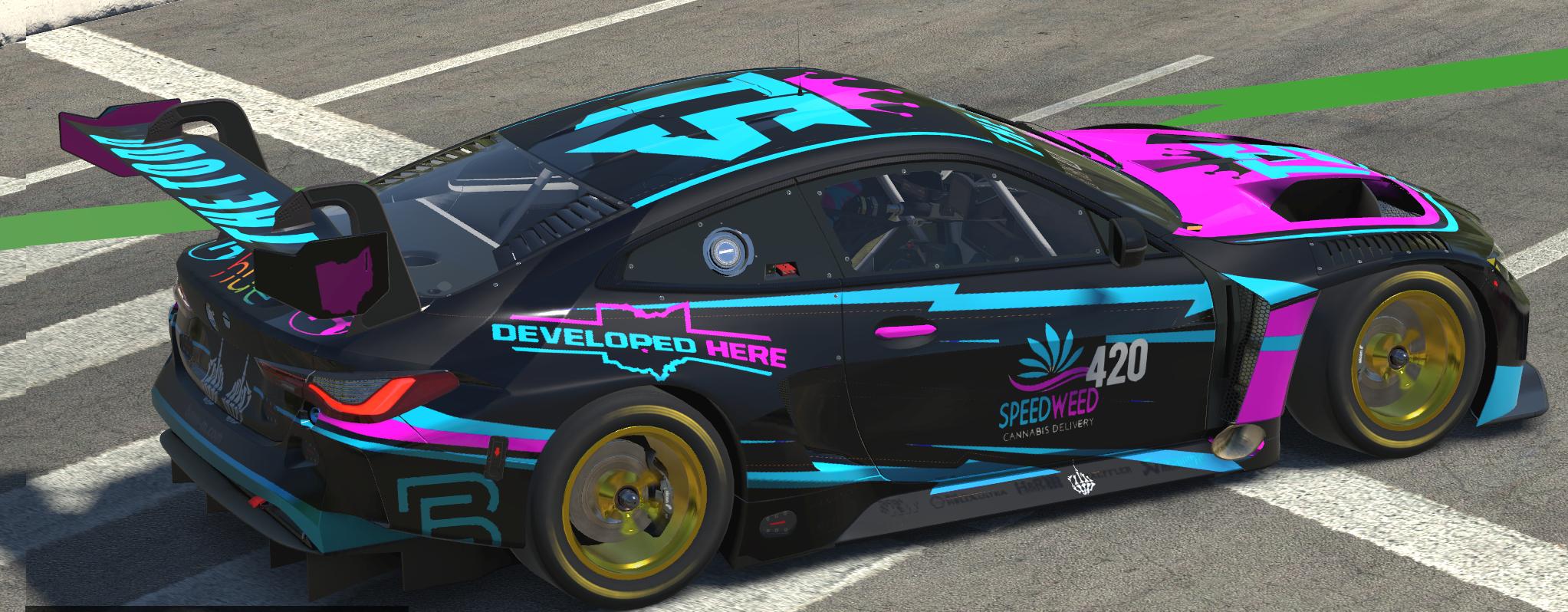 The Todd Racing BMW M4 GT3 by Todd Schwarz - Trading Paints