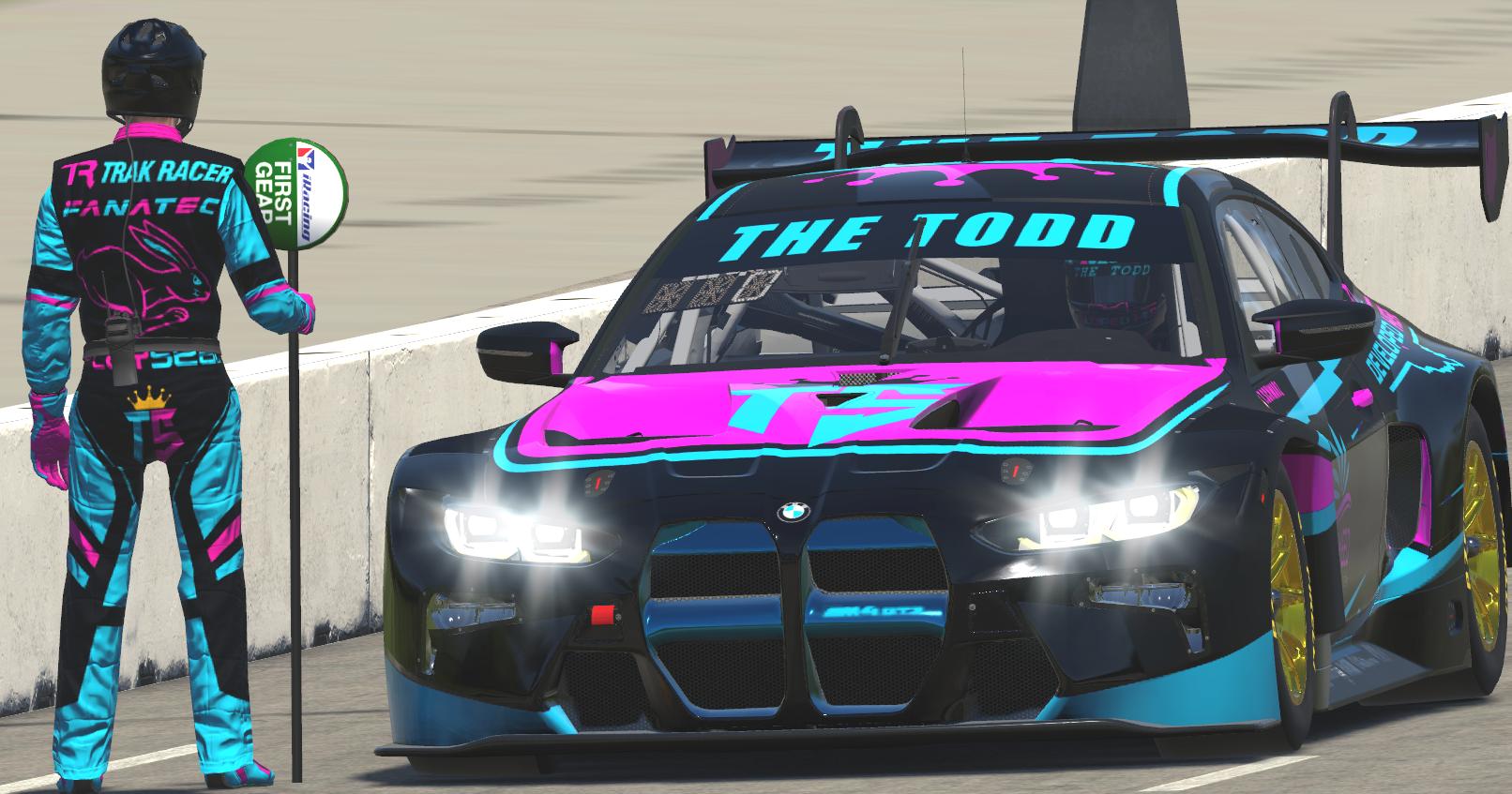The Todd Racing BMW M4 GT3 by Todd Schwarz - Trading Paints