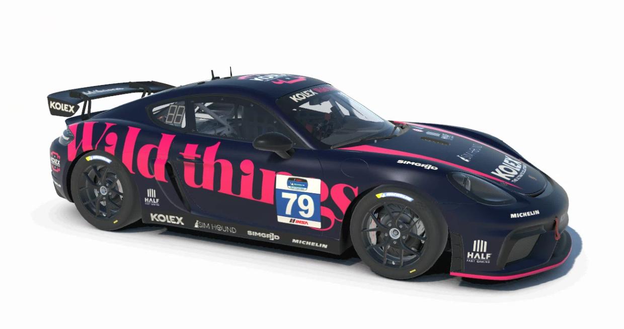 Wild things Racing 2023 Porsche 718 Cayman GT4 by Denise Pope - Trading ...