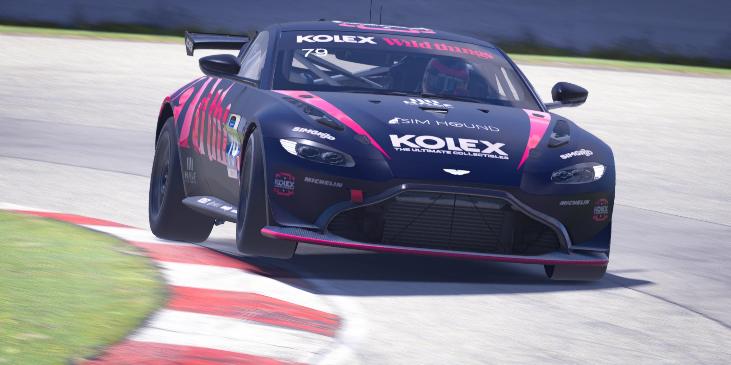 Wild things Racing 2023 Aston Martin Vantage GT4 by Denise Pope ...