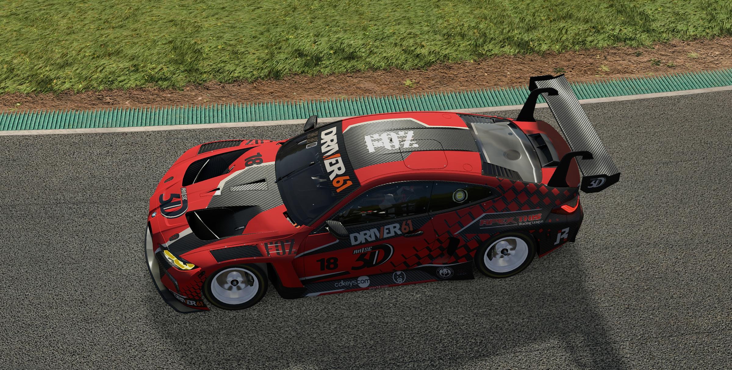 Legacy anse3d BMW GT3 Livery by Paulo L. - Trading Paints