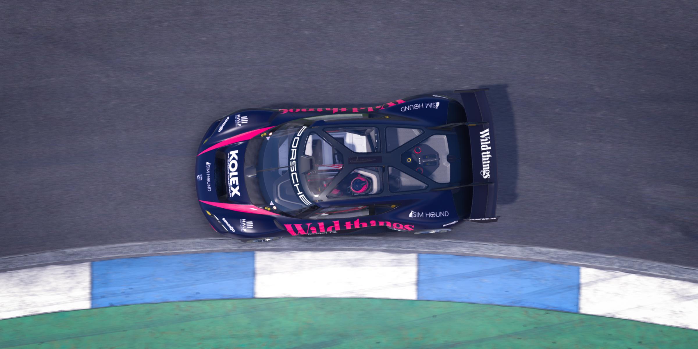 Wild things Racing 2023 Porsche Mission R by Denise Pope - Trading Paints