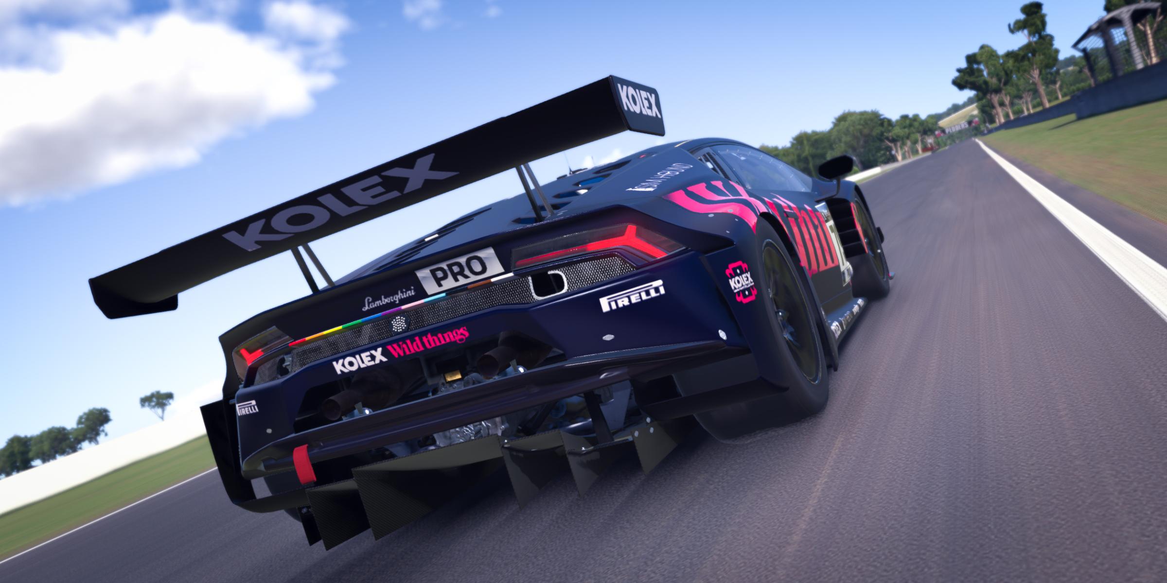 Wild things Racing 2023 Lamborghini Huracan GT3 by Denise Pope ...