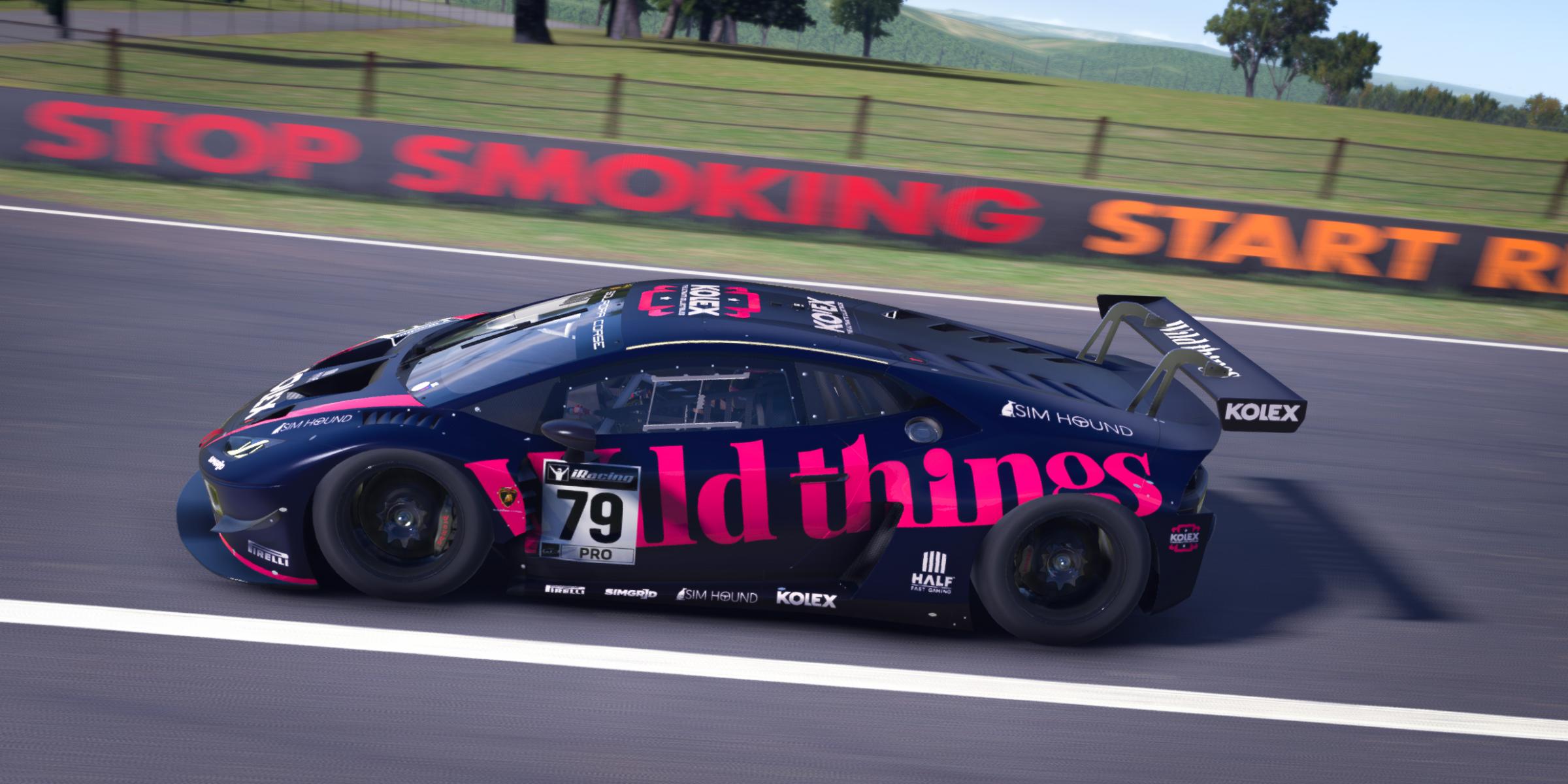 Wild things Racing 2023 Lamborghini Huracan GT3 by Denise Pope ...