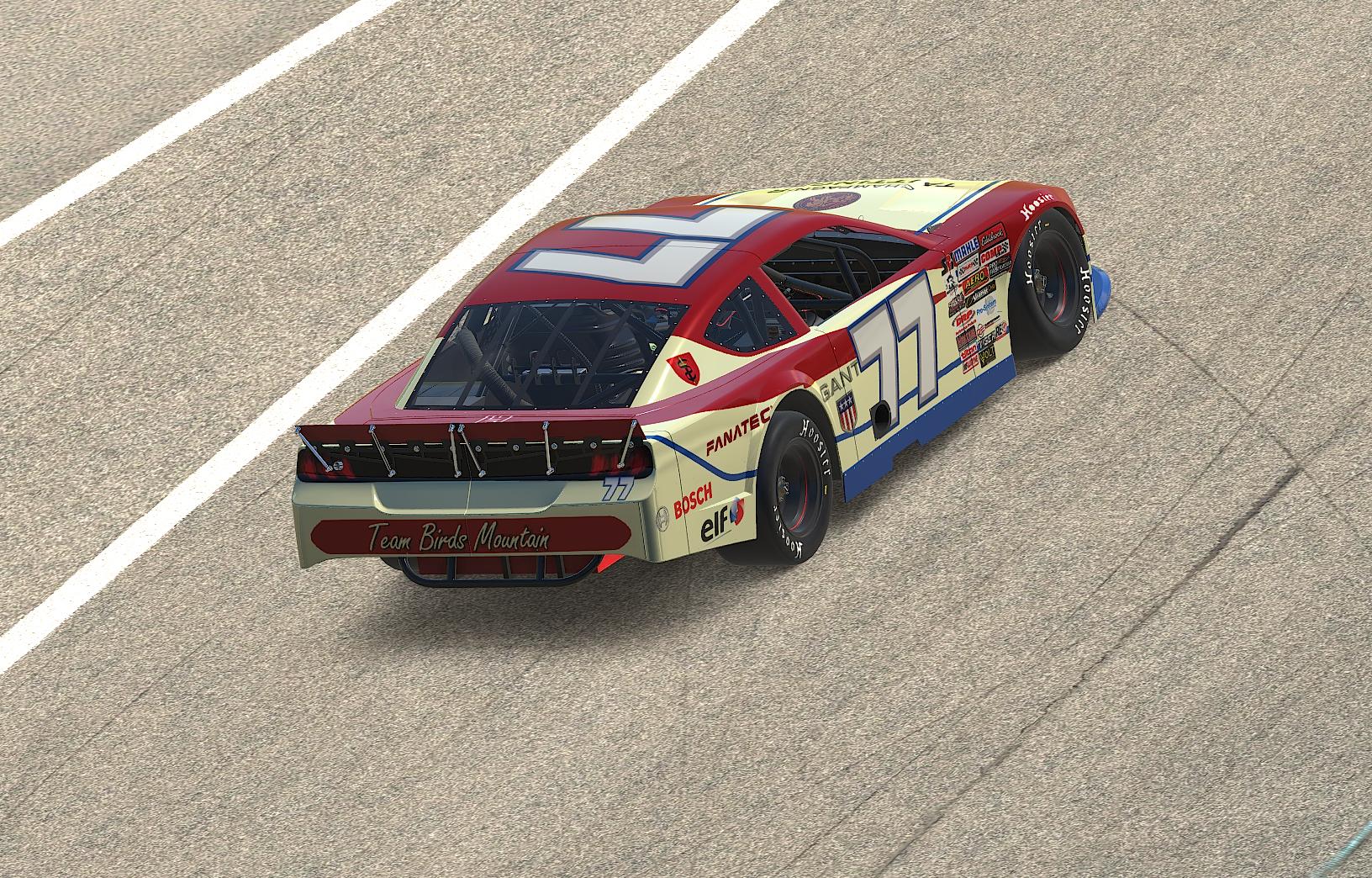 Team Birds Mountain by Mike Riedner - Trading Paints