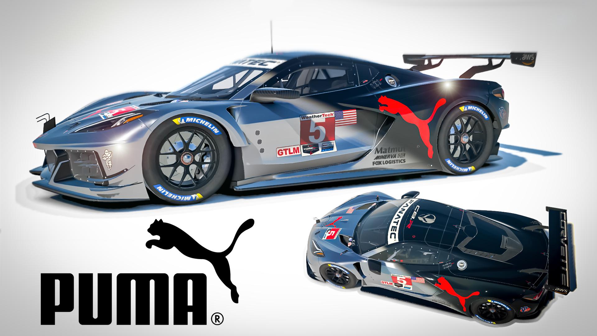 Puma by Paul Mansell - Trading Paints