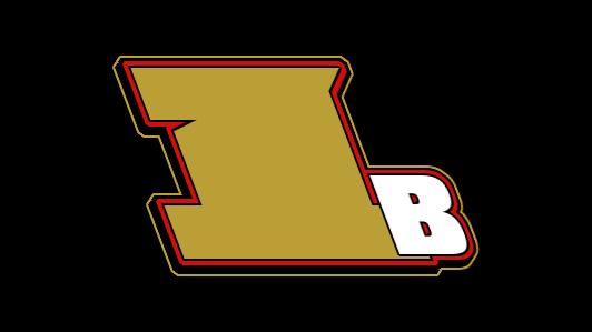 Stargazer Designs Bailey Larkin by Daniel J Cole - Trading Paints