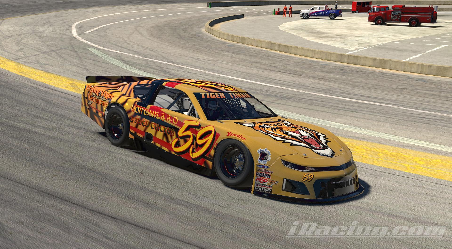 Tiger Timkin BGR Late Model Stock #59 by Bryan E. - Trading Paints