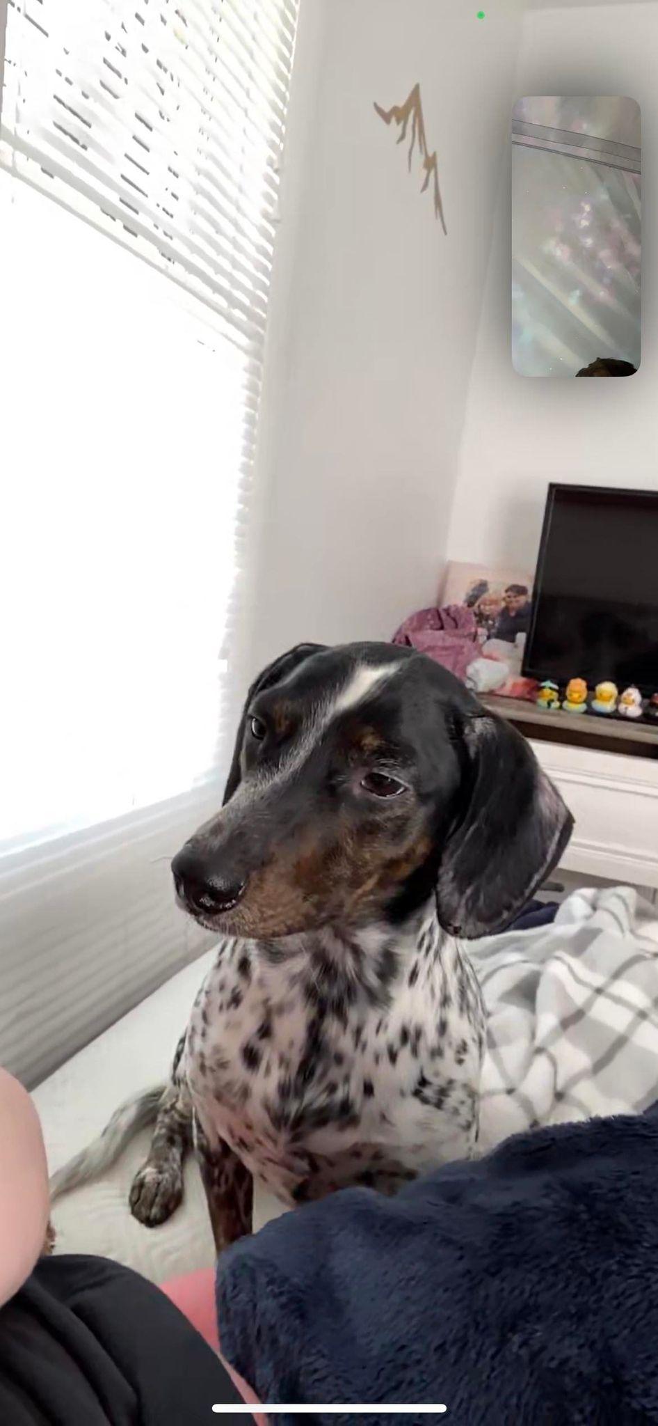 caleb oliver slm 54 by Caleb Oliver - Trading Paints