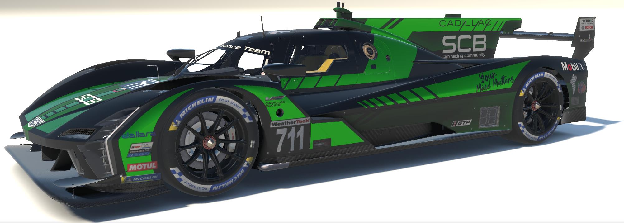 Cadillac VSeriesR GTP SCB Community green by Jerrit Will - Trading Paints
