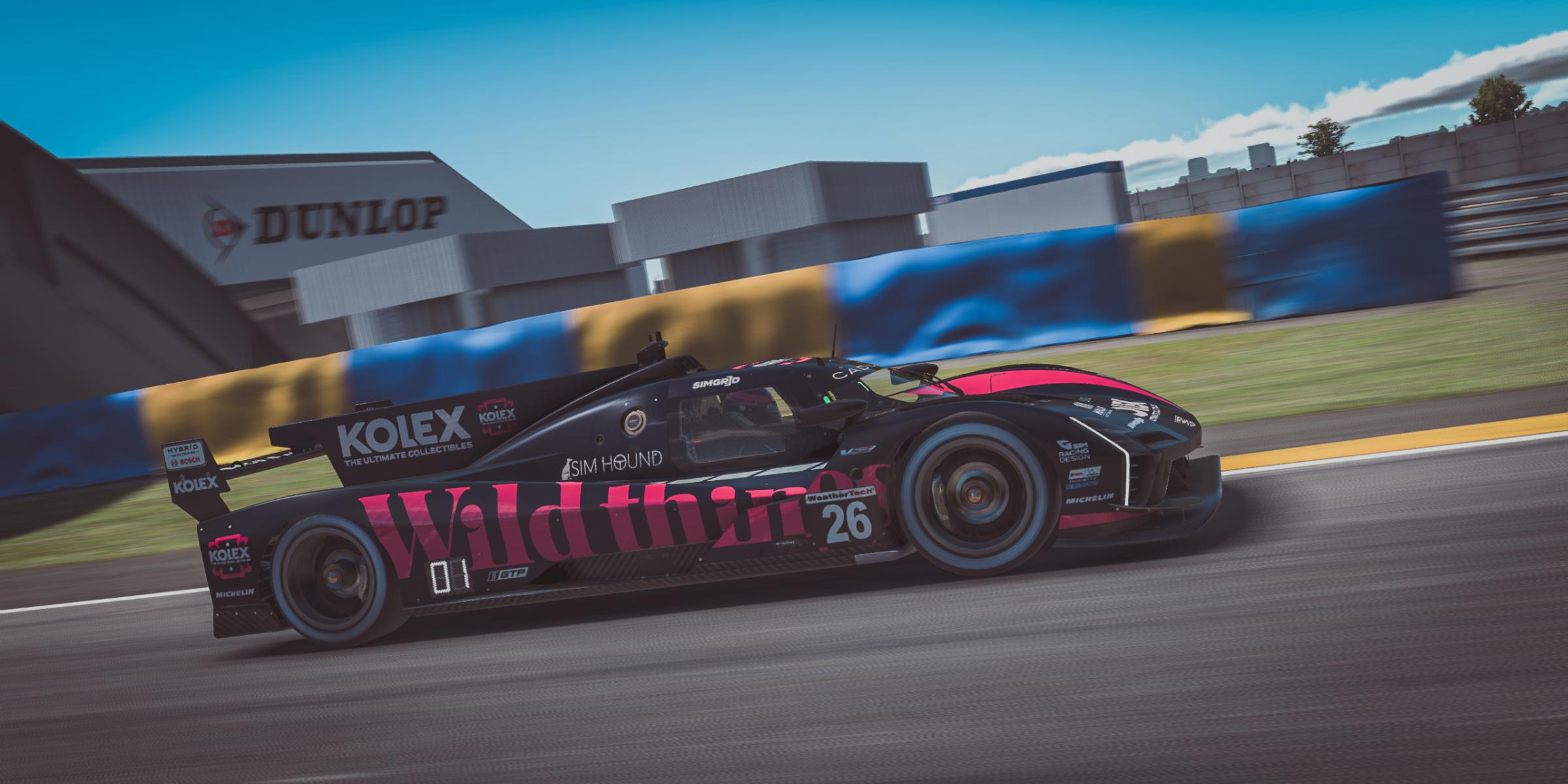 Wild things Racing 2023 Cadillac V-Series R GTP by Denise Pope ...