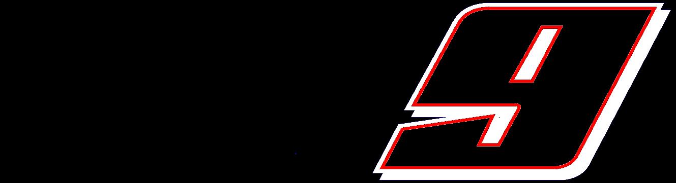 Awesome Gorgeous Paint by Carson B Loftin - Trading Paints