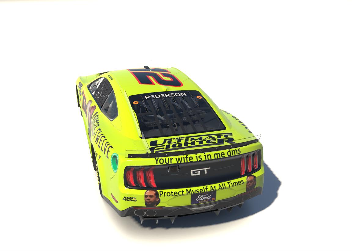 Proper 12 / The Ultimate Fighter by Rob Pederson - Trading Paints