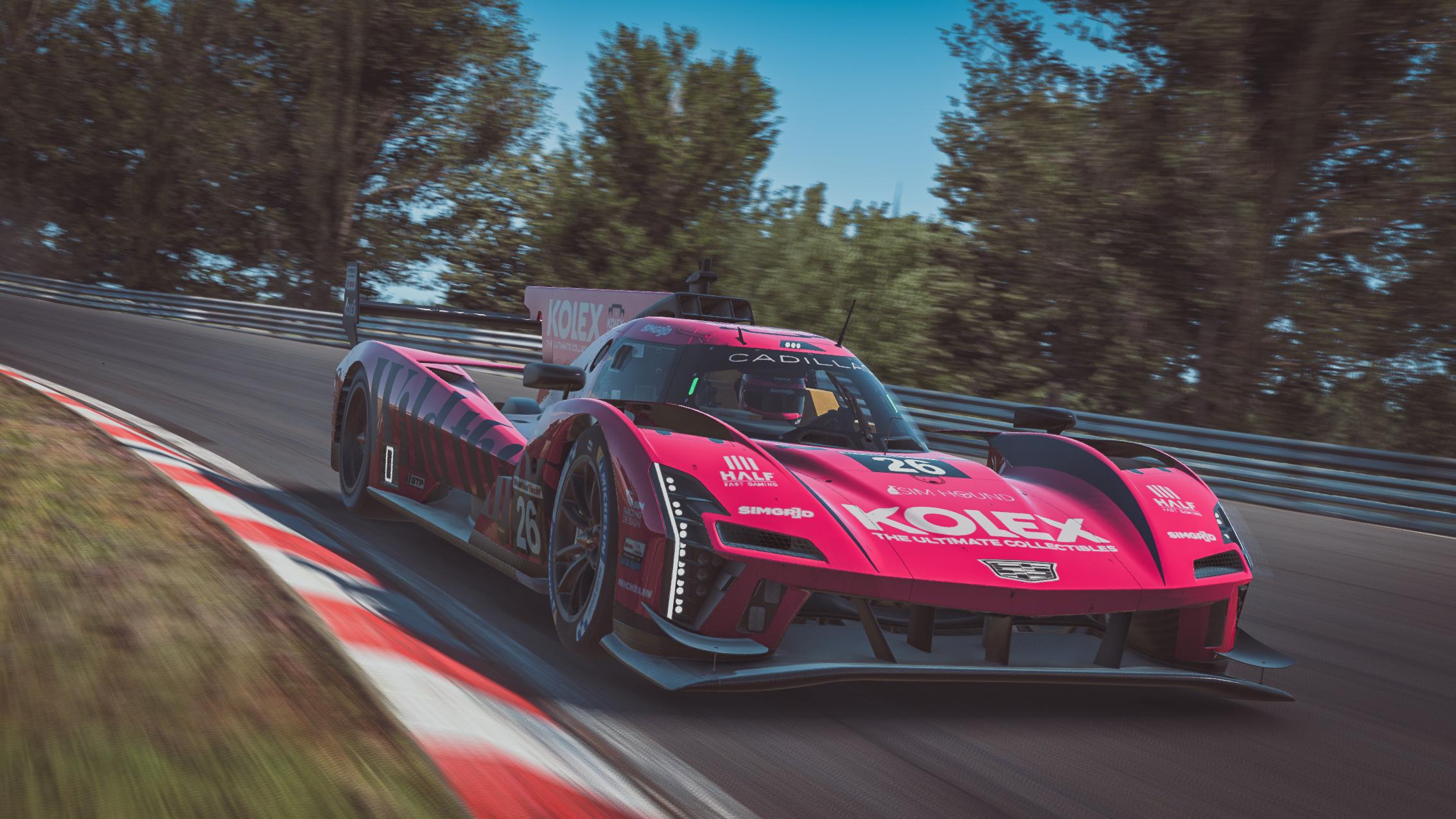 2023 Wild things Racing Cadillac GTP Special by Denise Pope - Trading ...