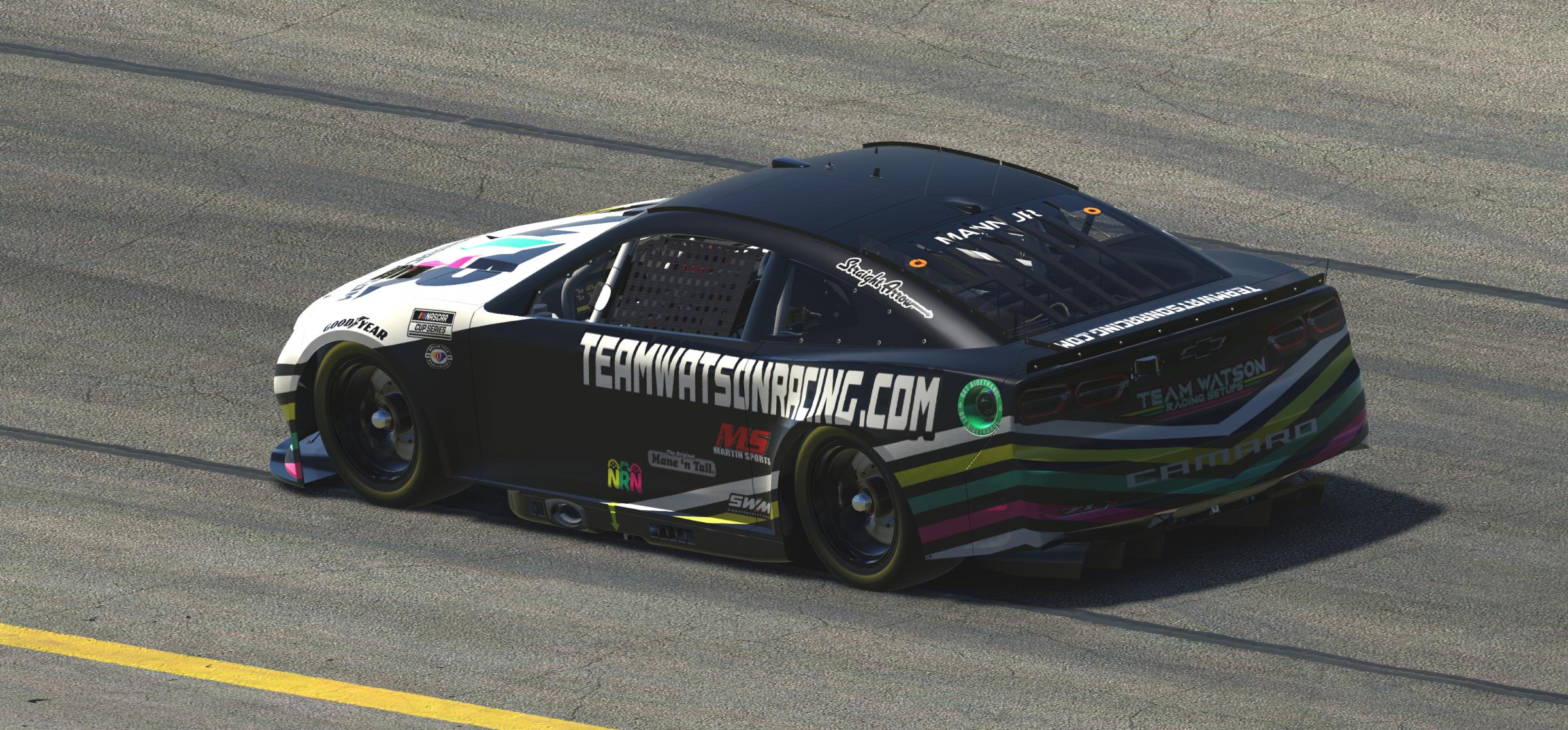TEAM WATSON RACING SETUPS - SWM - Team car by Kyle Holden2 - Trading Paints