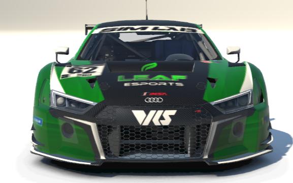 LEAF eSports Audi R8 LMS Lars by Lars W. - Trading Paints
