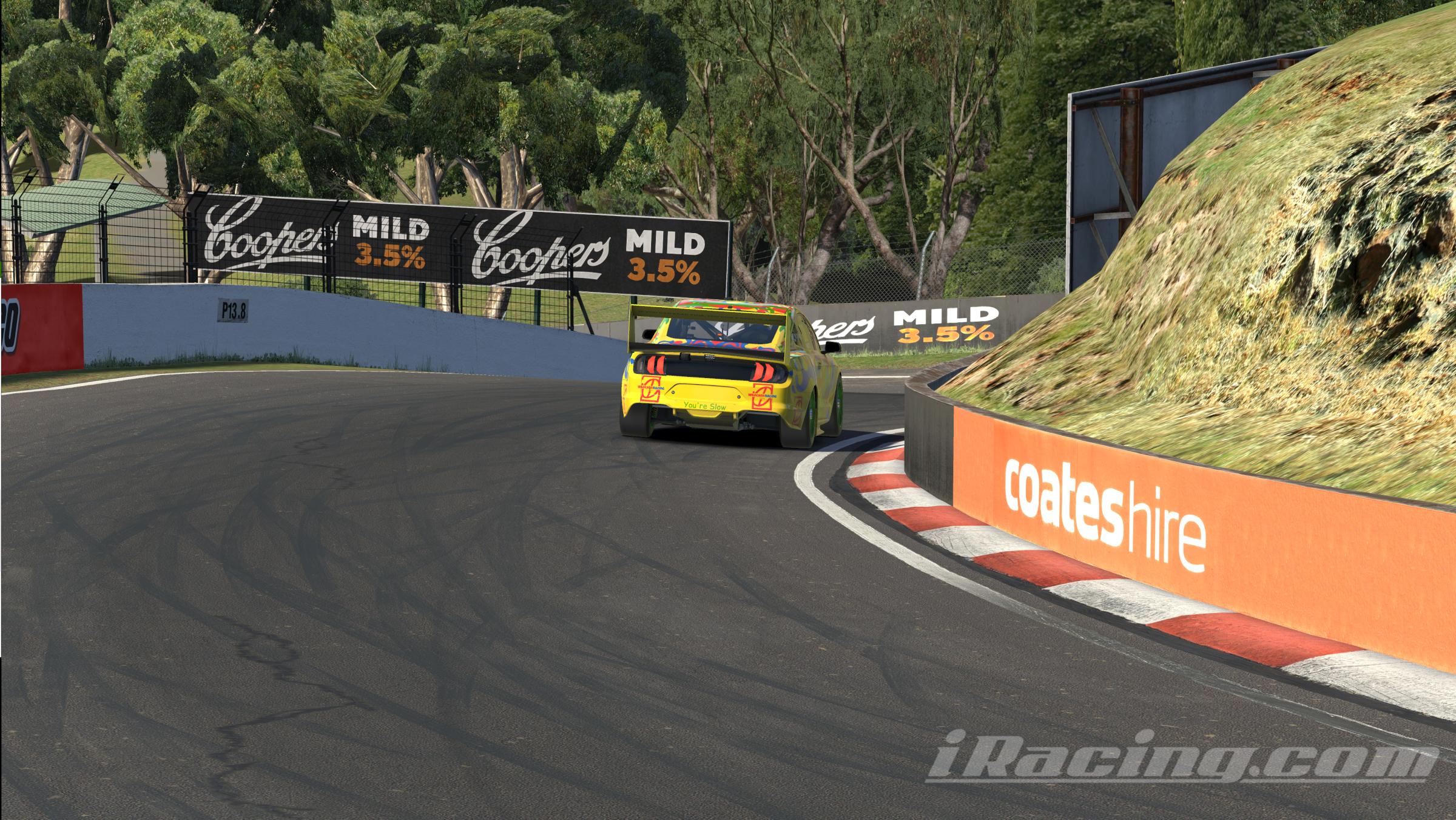 Wildcard Racing by Ian Bakaitis - Trading Paints