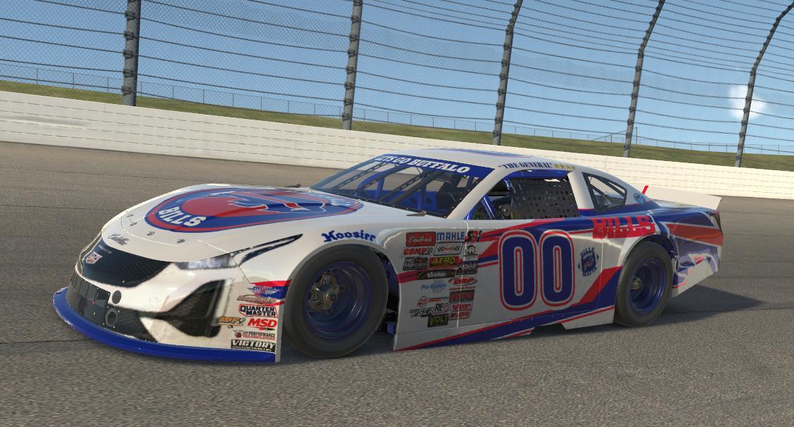 Lets Go Buffalo!! by Bill Shurmatz - Trading Paints