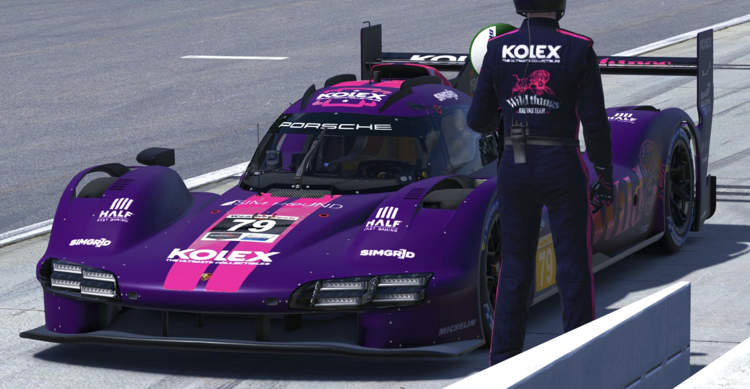 Wild things Racing Porsche GTP Special by Denise Pope - Trading Paints