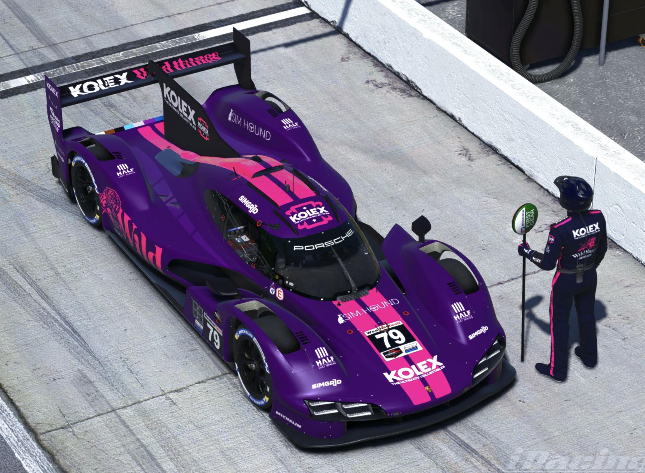 Wild things Racing Porsche GTP Special by Denise Pope - Trading Paints