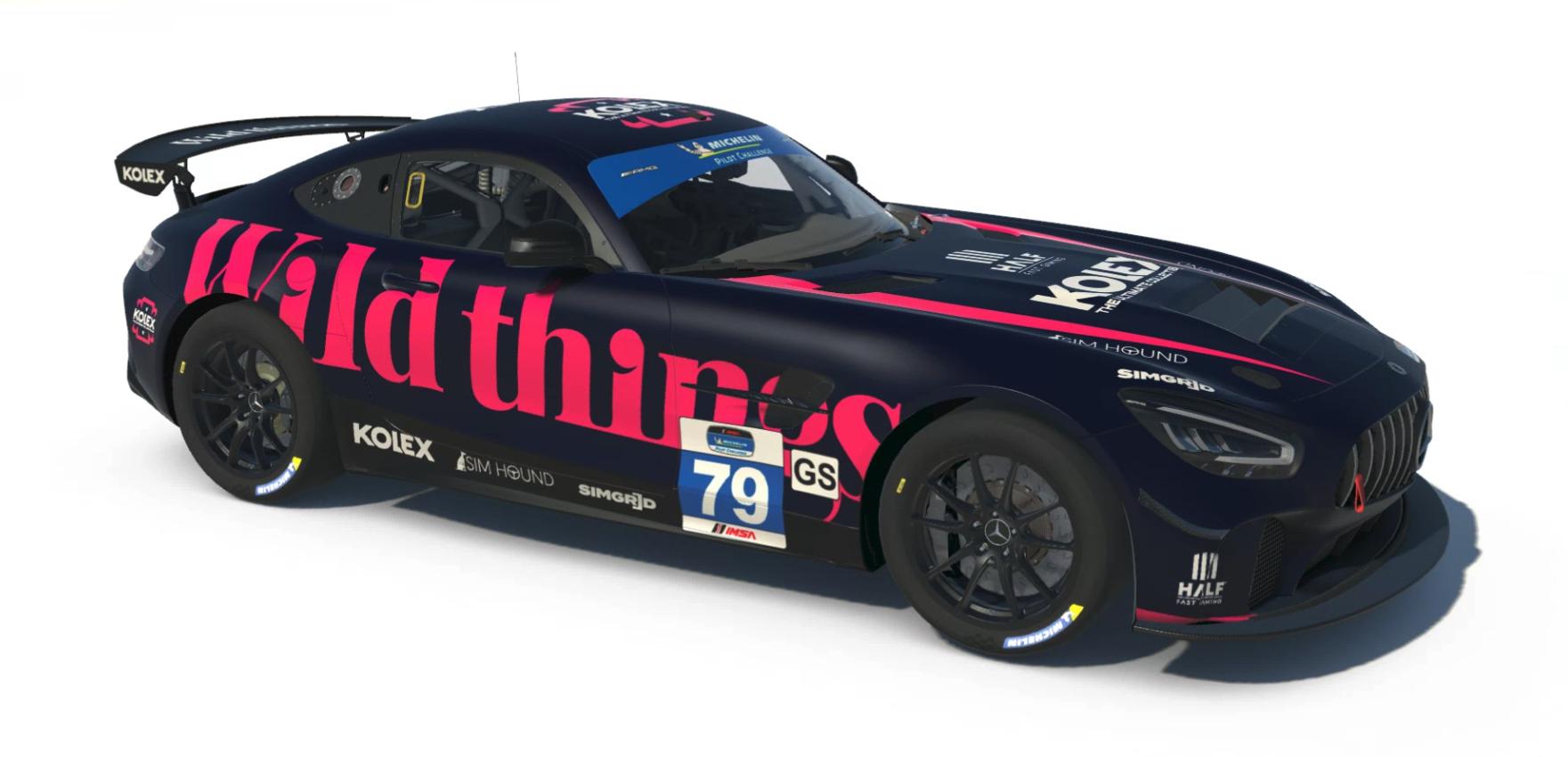 2023 Wild things Racing Mercedes-AMG GT4 by Denise Pope - Trading Paints