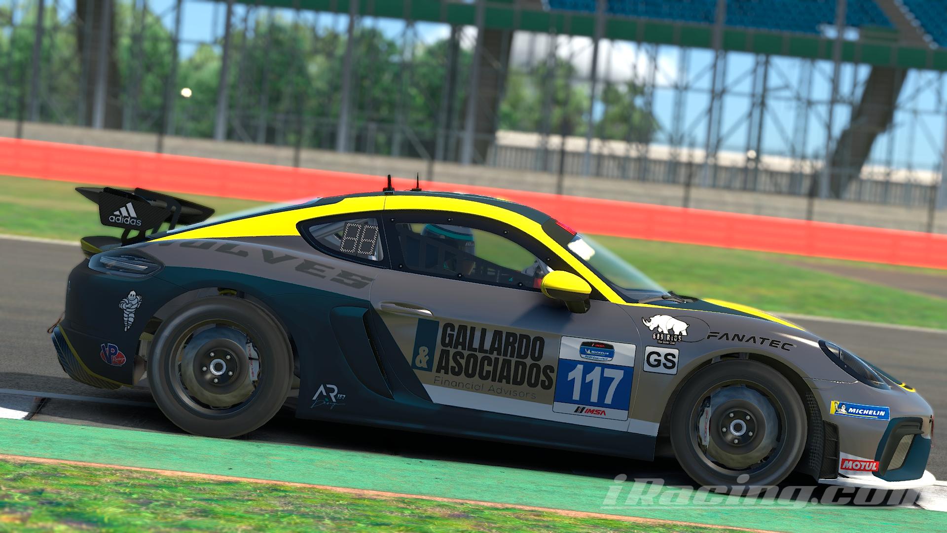 PORSCHE GT4 WOLVES by Arturo Romero - Trading Paints