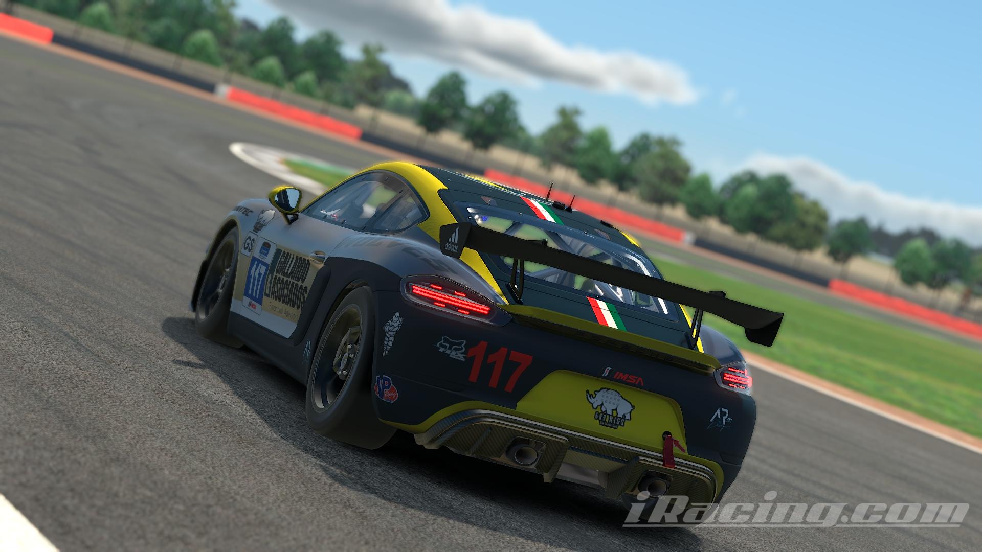 PORSCHE GT4 WOLVES by Arturo Romero - Trading Paints