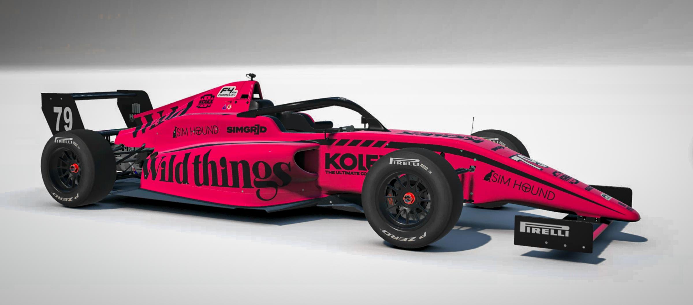 2024 Wild things Racing by Denise Pope - Trading Paints