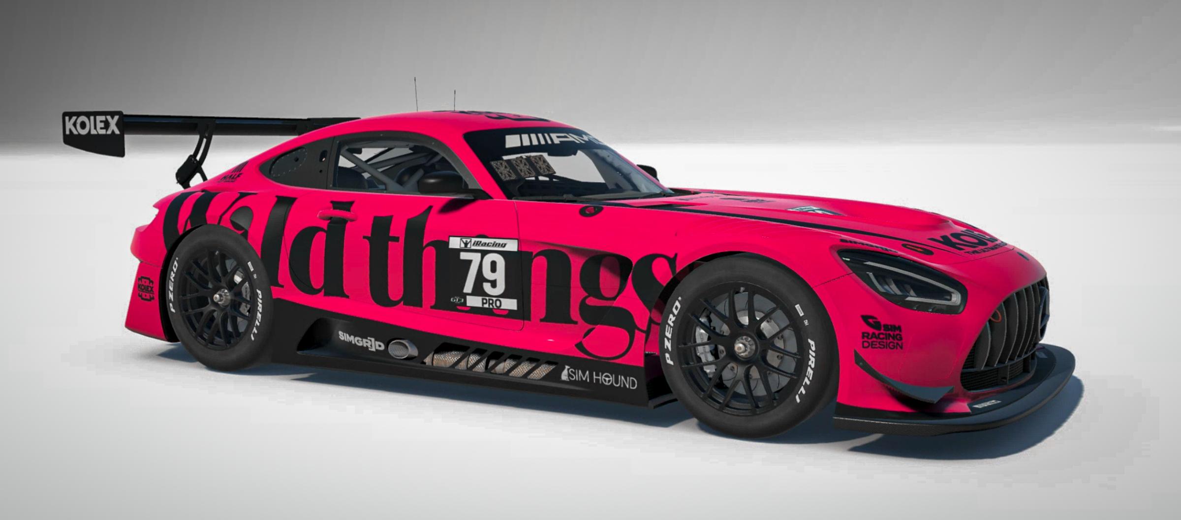 2024 Wild things Racing by Denise Pope - Trading Paints