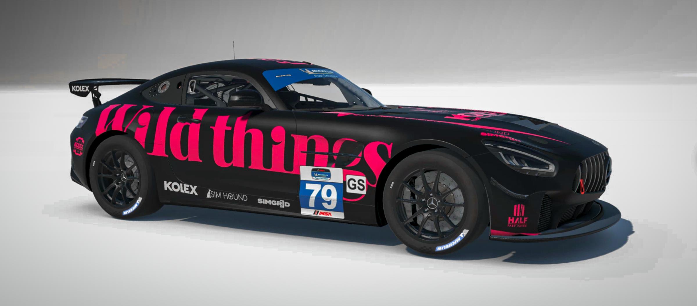 2024 Wild things Racing Black by Denise Pope - Trading Paints