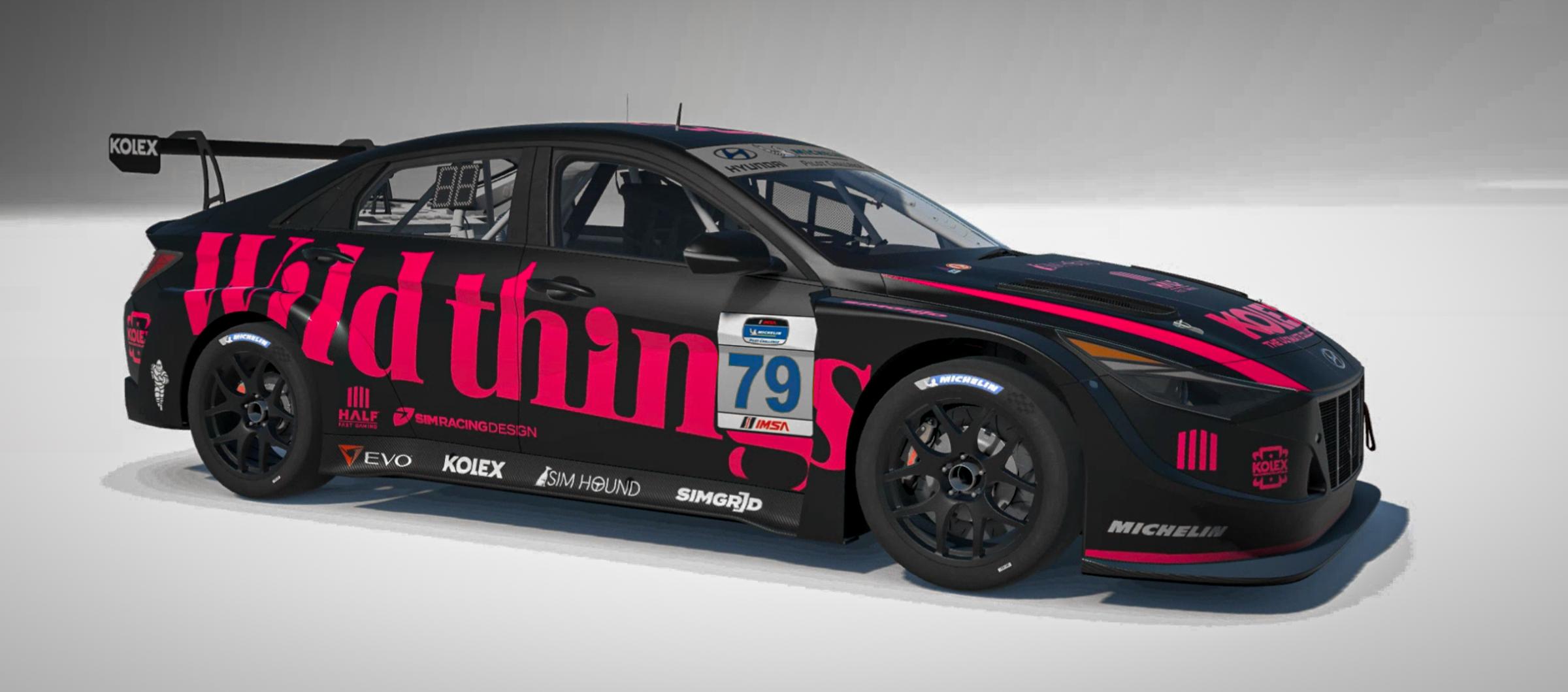 2024 Wild things Racing Black by Denise Pope - Trading Paints