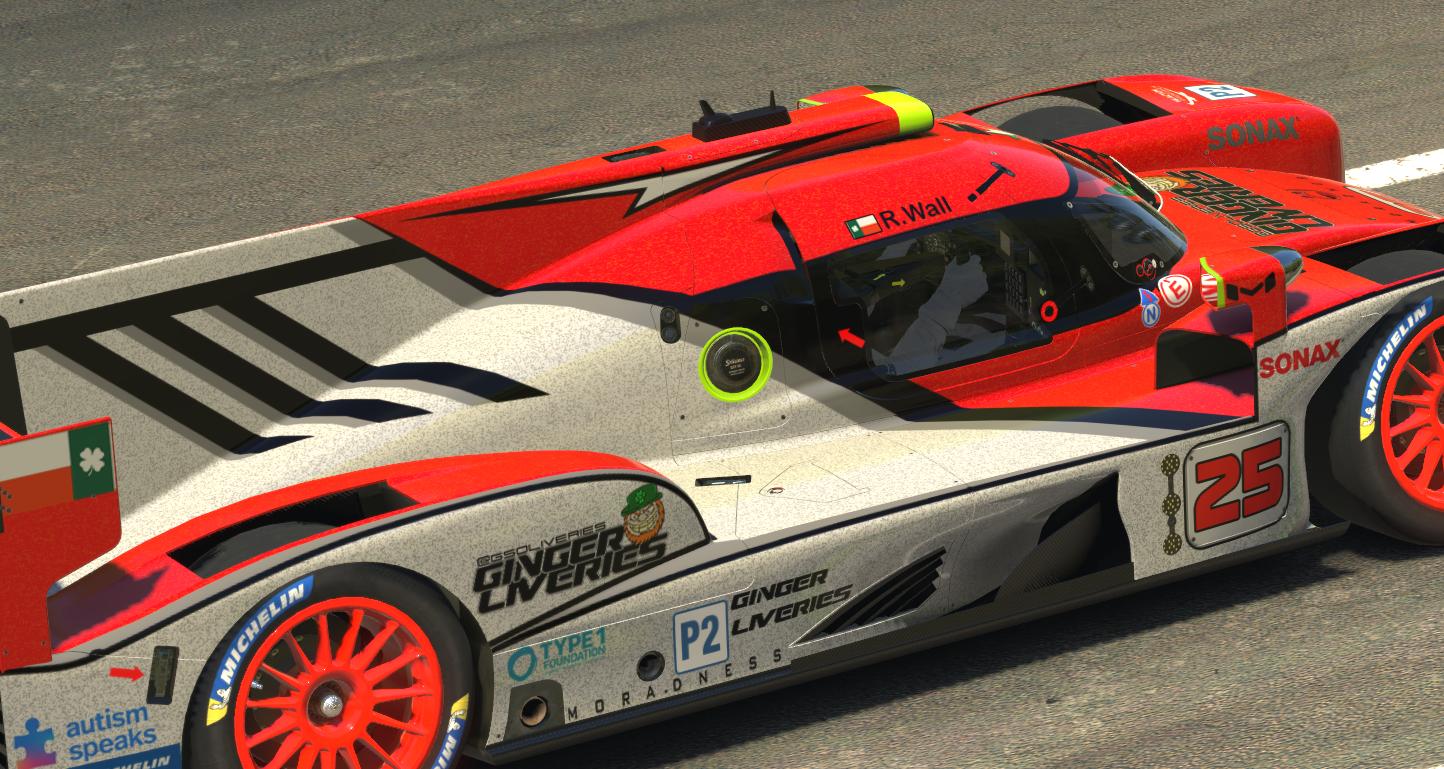 Ginger Liveries Orange P217 - Numbered by Rick W. - Trading Paints