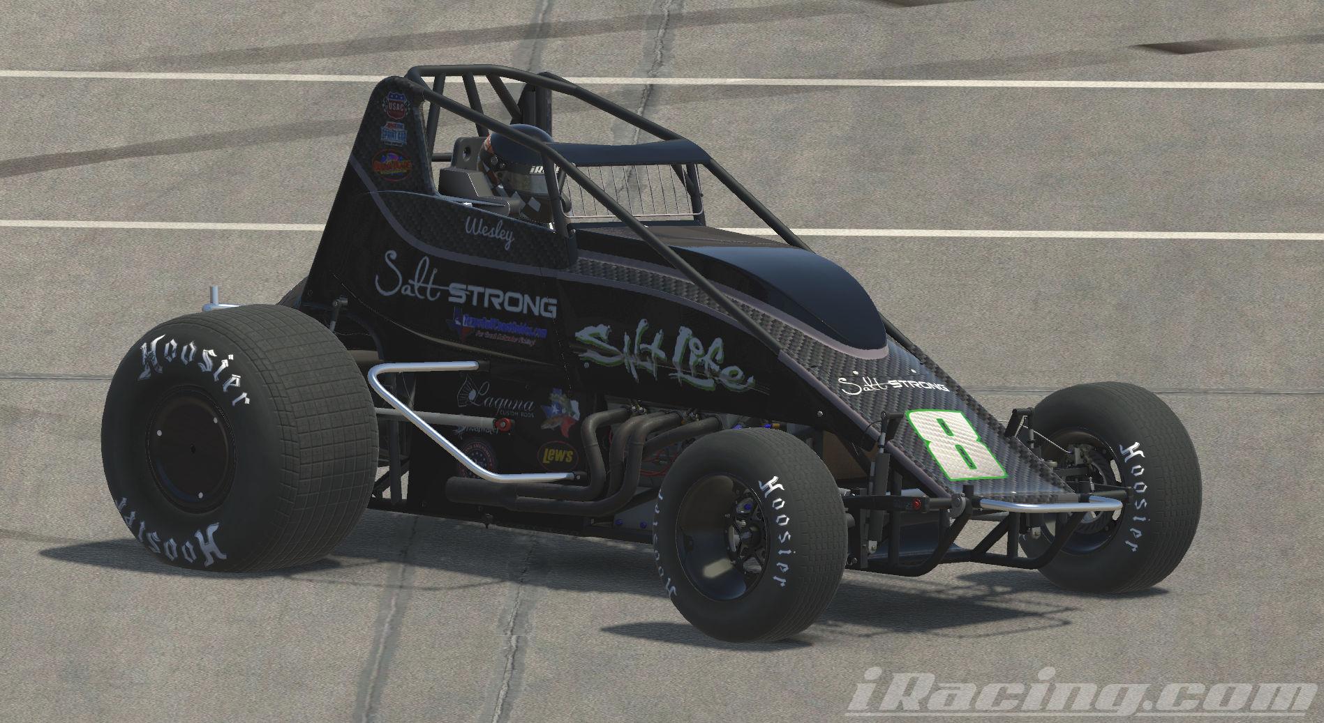 #8 SALT LIFE DIRT SPRINT CAR NON WING by Scott Van Ness - Trading Paints