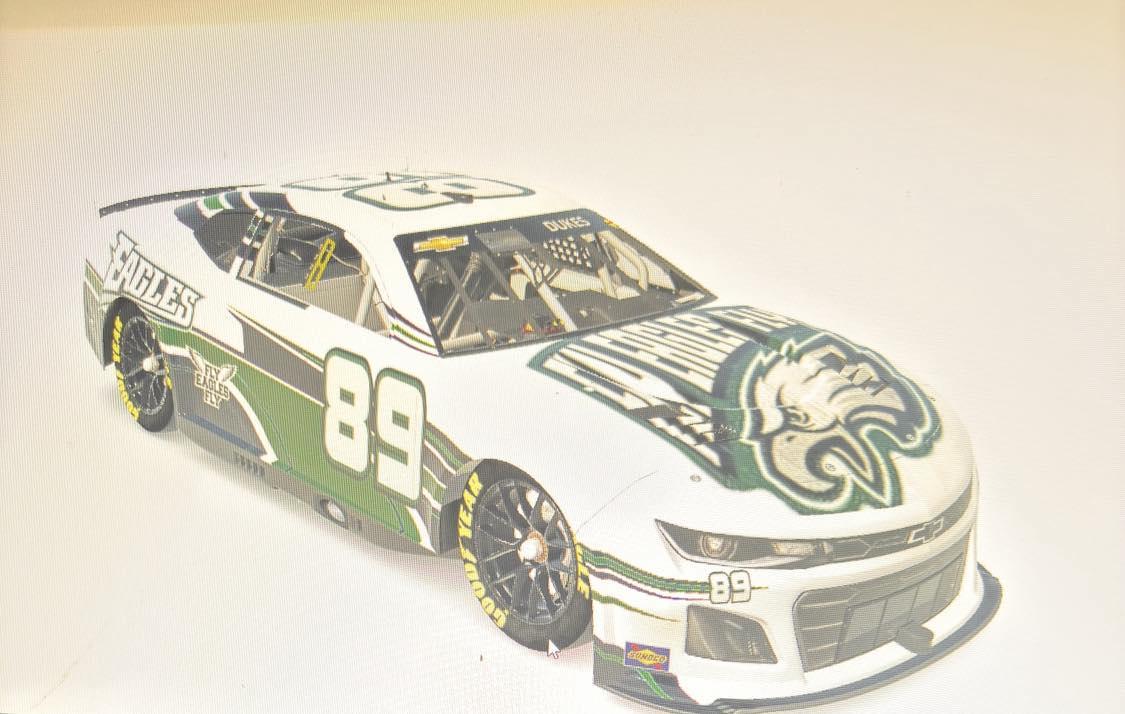 WEST COAST PAINTS FLY EAGLES FLY by Shawn Dukes - Trading Paints