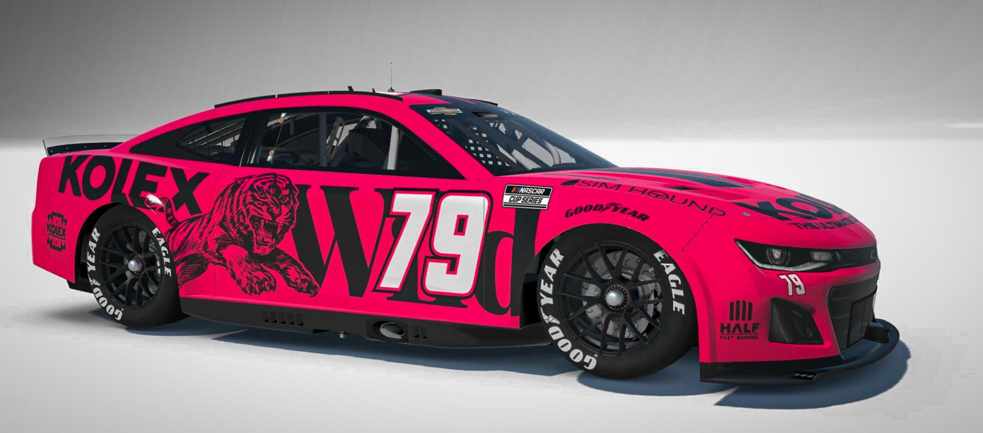 2024 Wild things Racing by Denise Pope - Trading Paints