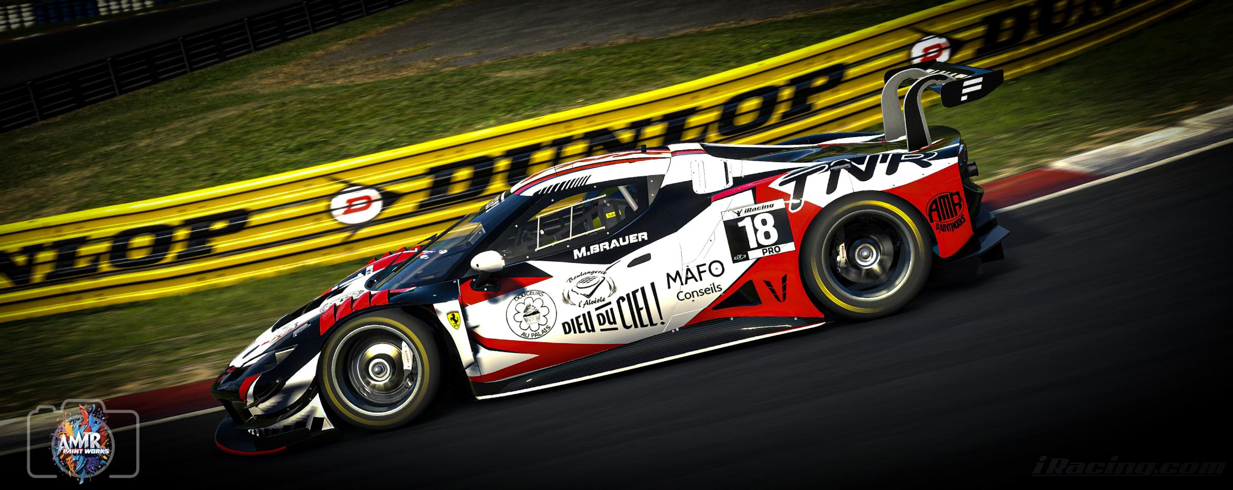 TNR by Amr S. - Trading Paints