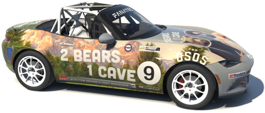 Two Bears One Cave by Sean Matteson - Trading Paints