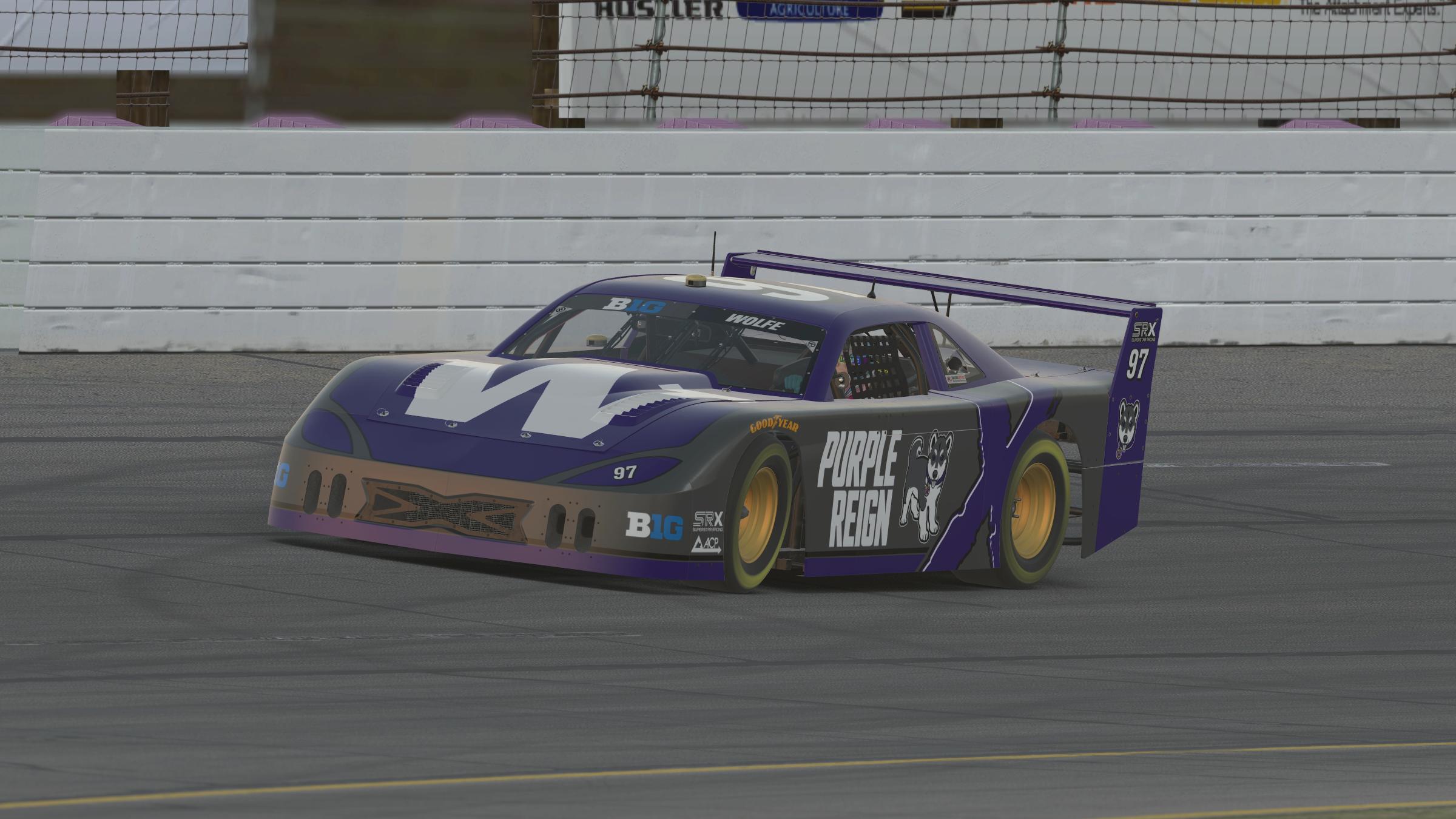 Washington Huskies by Jewel Wolfe - Trading Paints