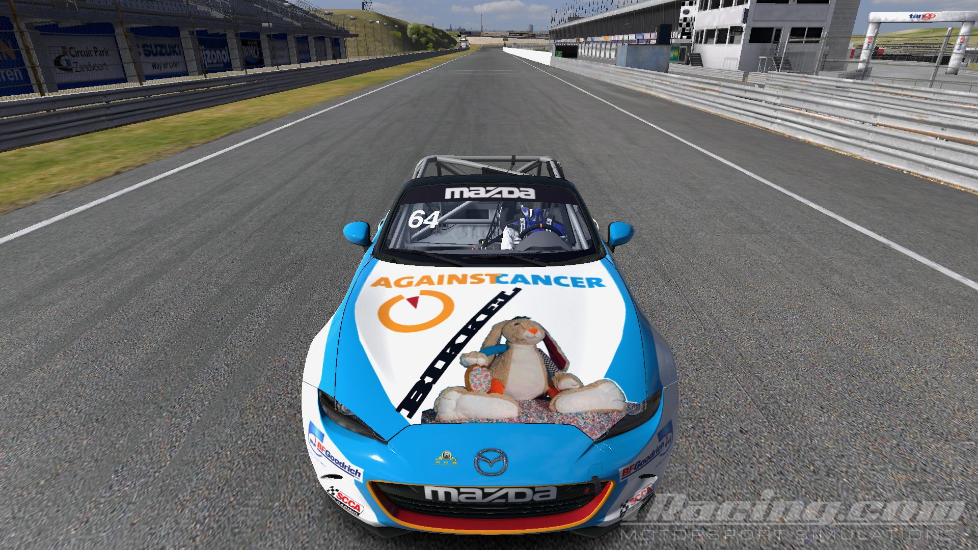Racing Against Cancer by Wilco Smit - Trading Paints
