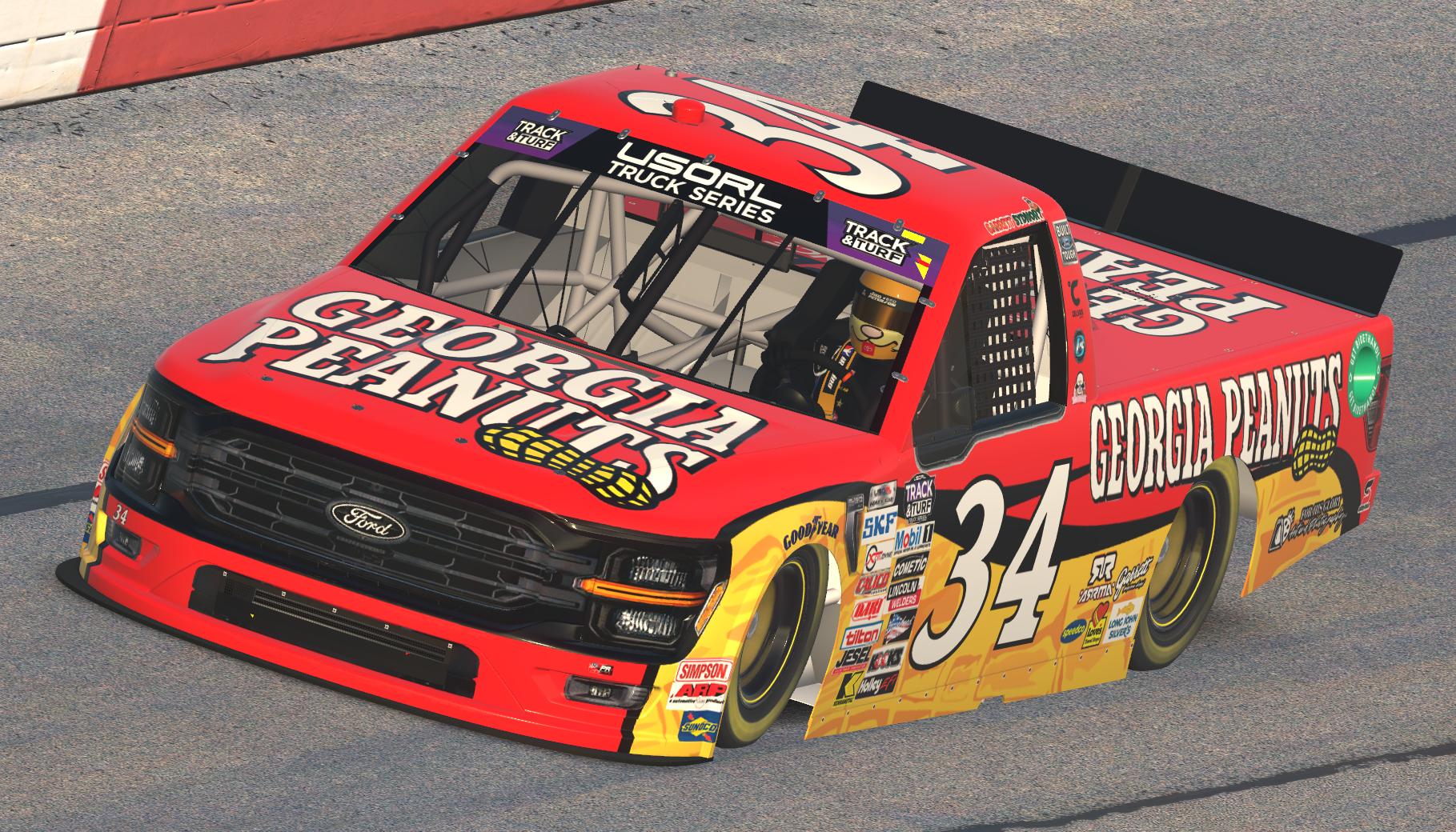Garrett Georgia Peanuts F150 by Jon ME Peterson - Trading Paints