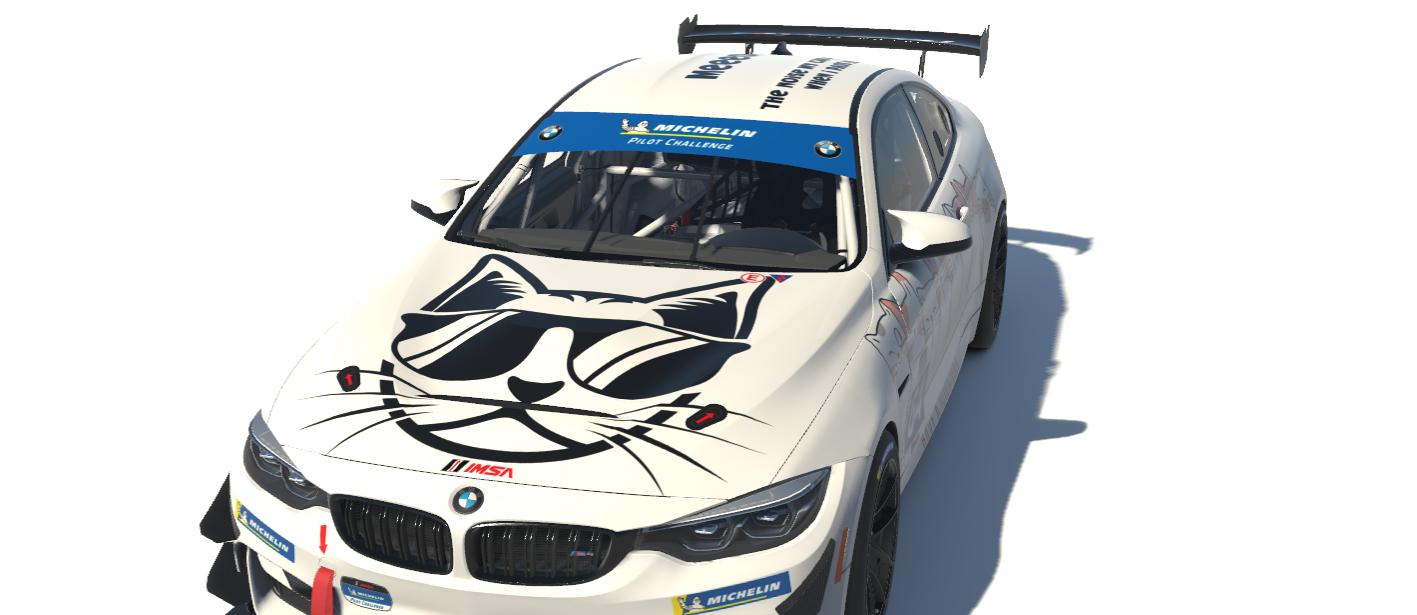 BMW M4 GT4 Cool Cat livery by Guy Robertson - Trading Paints