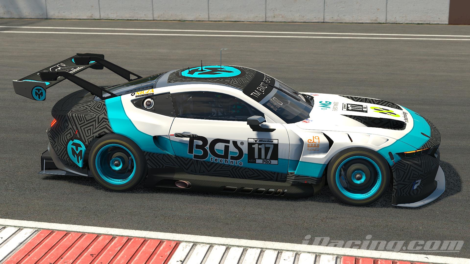 Ford Mustang GT3 tm silver by Arturo Romero - Trading Paints