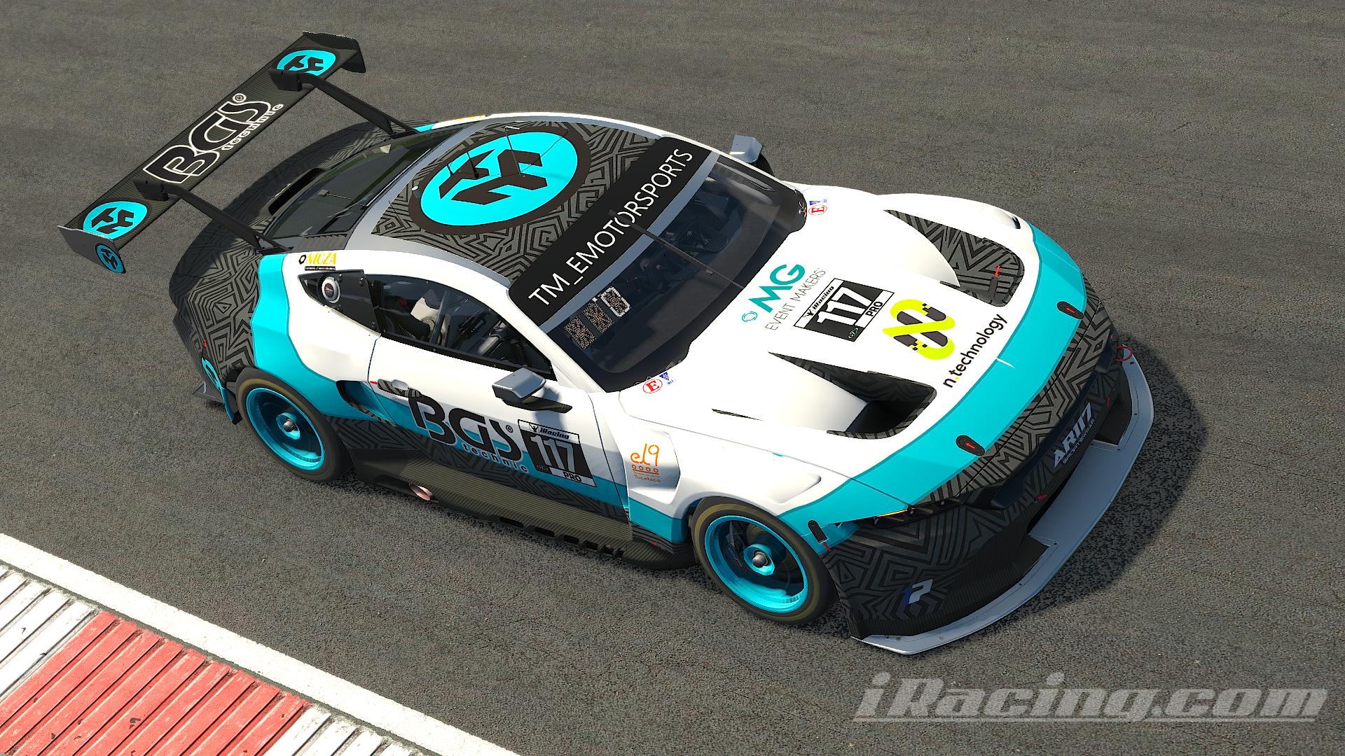 Ford Mustang GT3 tm silver by Arturo Romero - Trading Paints